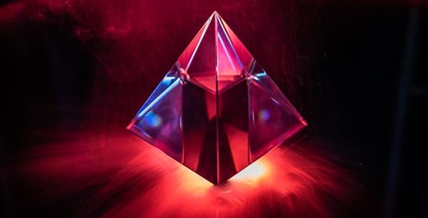 Quantum diamond sensor measured heart signals from a living rate